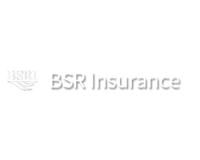 Brazos Specialty Risk, Inc. | Company Profile from MyNewMarkets.com}